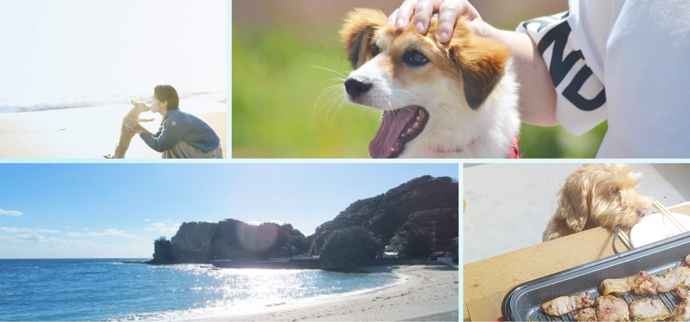 施設紹介 | わんわんVillage